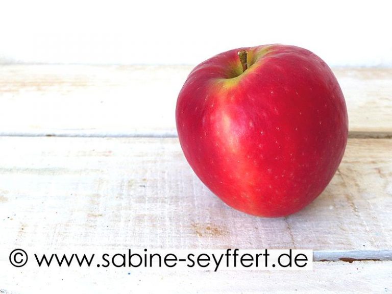 DIY Bastelidee für Kinder: Sommerlichen Zwerg aus Apfel & Walnuss ...